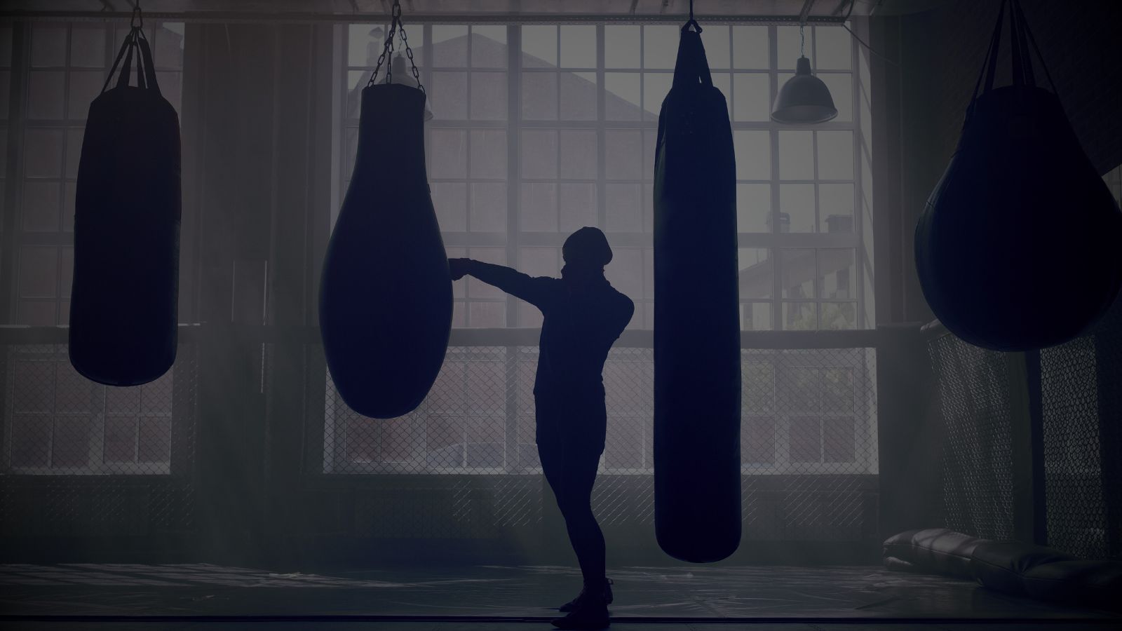 Our Workout - Rapid Knockout Boxing Xperience